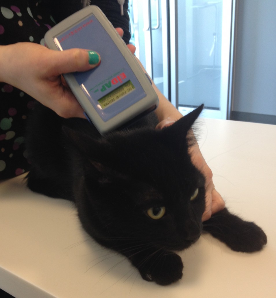 Votre animal a-t-il sa micropuce? - Clinique Vétérinaire Valmont